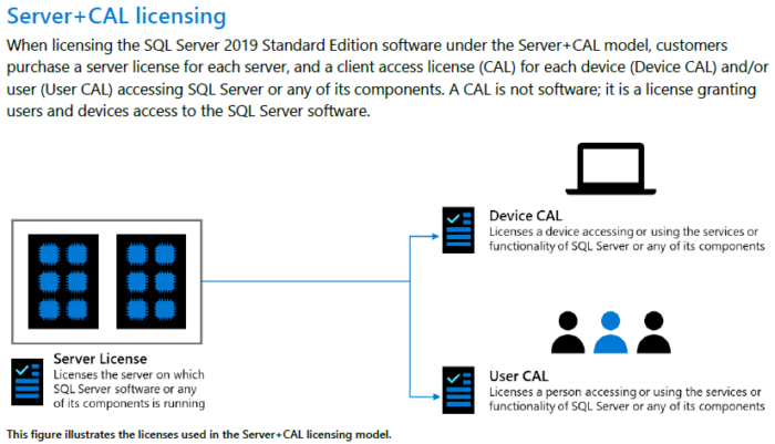 CSP - Licença Microsoft SQL Server Standard 2019 | Modelo: Servidor+CAL ...