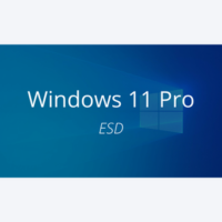 ESD – Licença Microsoft Windows 11 Professional - BRLIC Tecnologia